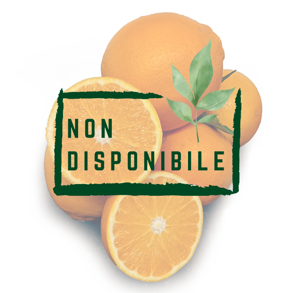 Arance Valencia Bio | Arance Bionde Siciliane - Anemos Bio