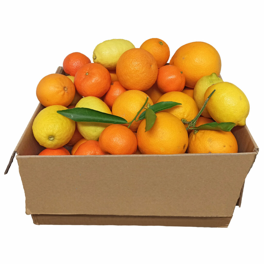 Sicilian Organic Citrus Mix - 9 Kg - Anemos Bio